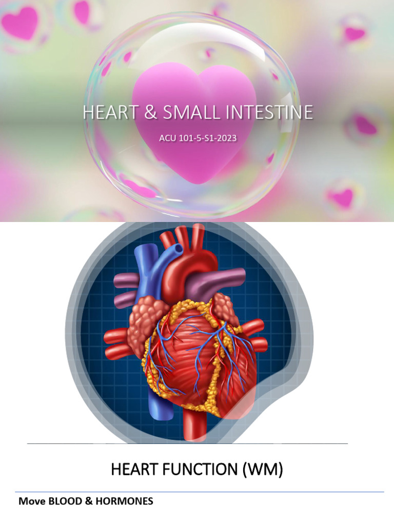 WK 5. Heart Small Intestine | PDF | Heart | Shoulder