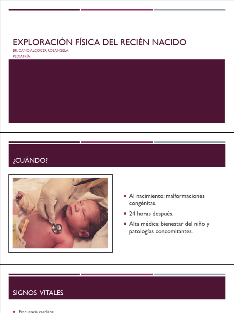 Exploración Física RN 2 | PDF