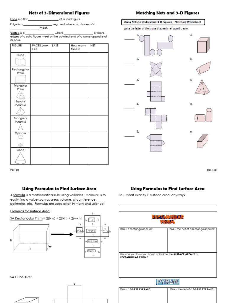 G6- Surface Area | PDF | Area | Volume