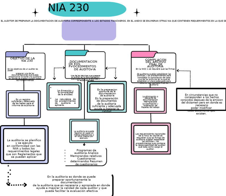 Mapa Conceptual NIA 230 | PDF | Auditoría | Contralor