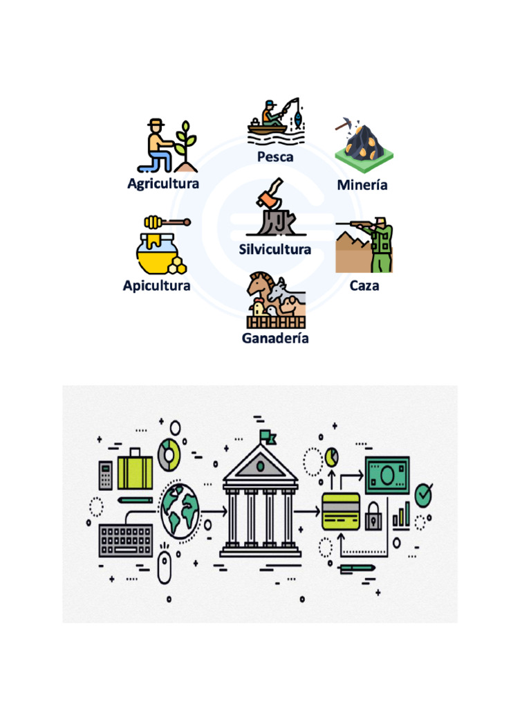 Imagenes Microe | PDF