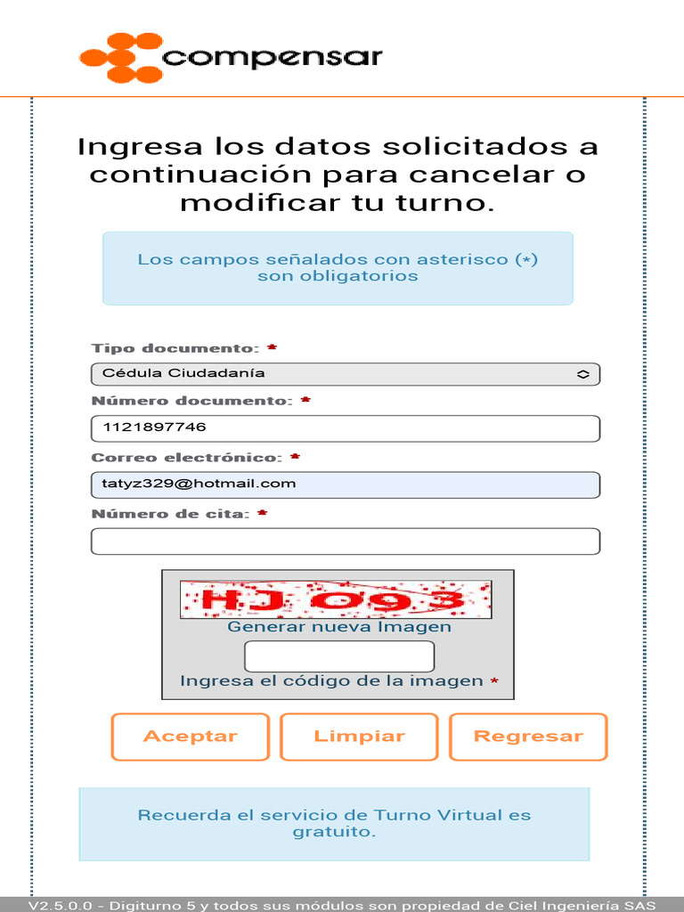 Servicio de Turno Virtual | PDF