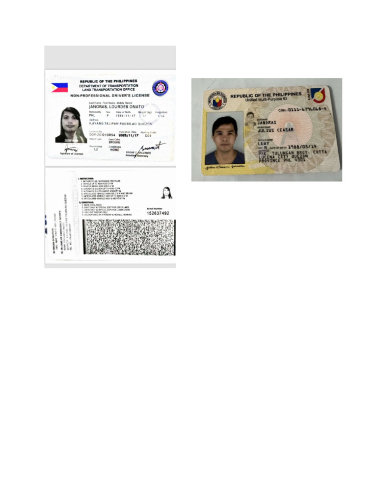Lourdes Janoras | PDF