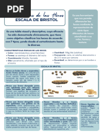 Tipos y características de las heces | PDF | Heces | Especialidades Medicas