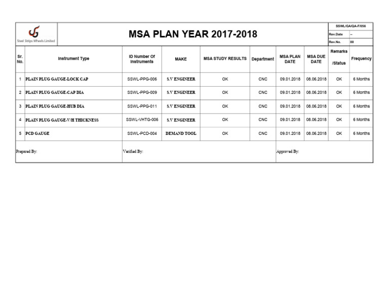 Msa Plan Year 2017-2018 | PDF