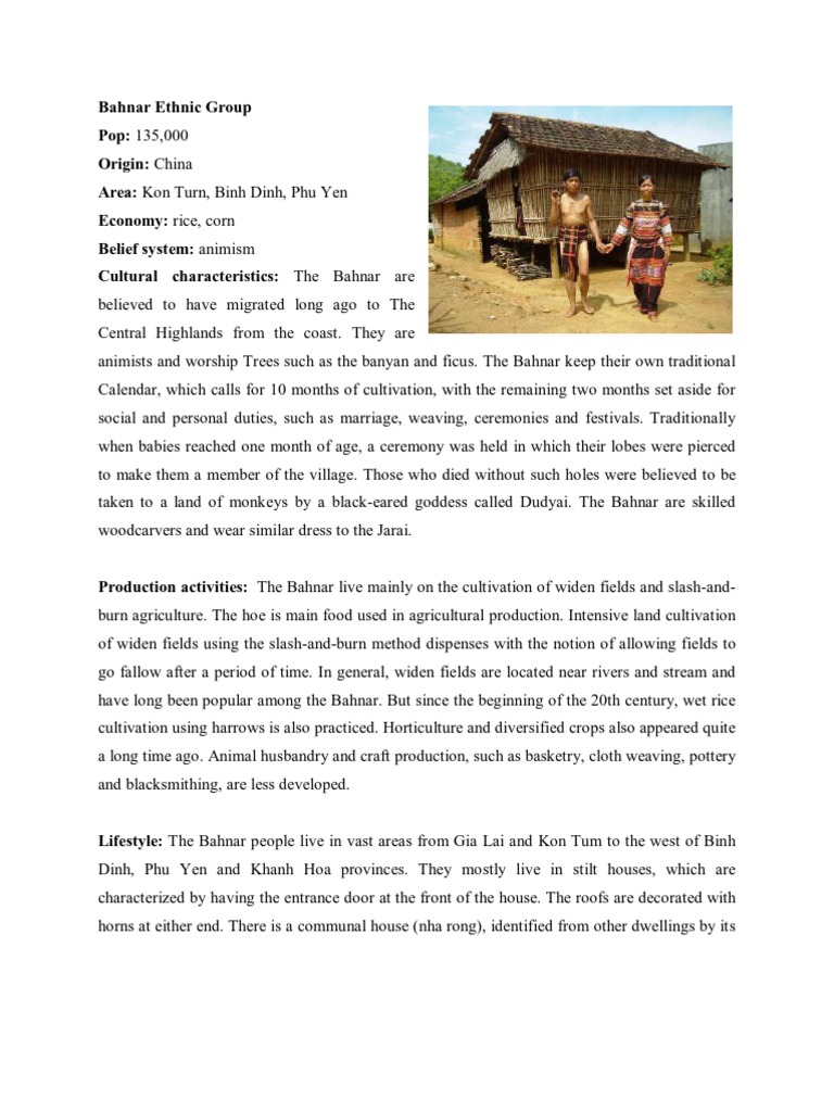 Bahnar Ethnic Group | PDF
