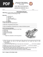 Lab Report - Frog Dissection | PDF | Frog | Anatomy