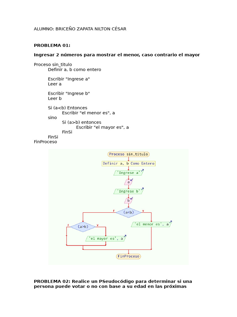 Estructura Condicional Doble | PDF