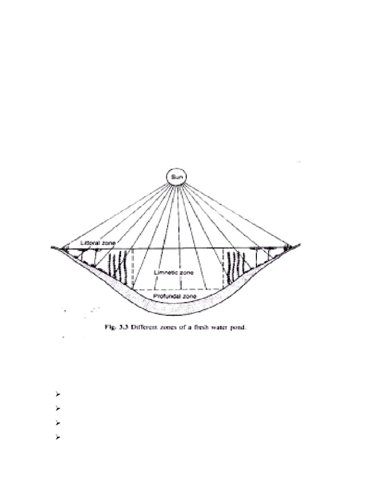 Understanding Pond Ecosystems: Structure & Function | PDF | Food Web ...