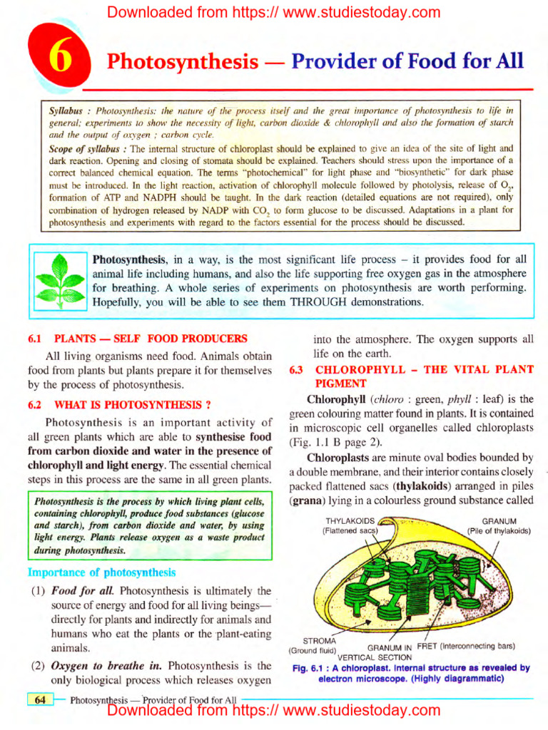 ICSE Class 10 Selina Biology Chapter 06 Photosynthesis | PDF | Career & Growth | Wellness