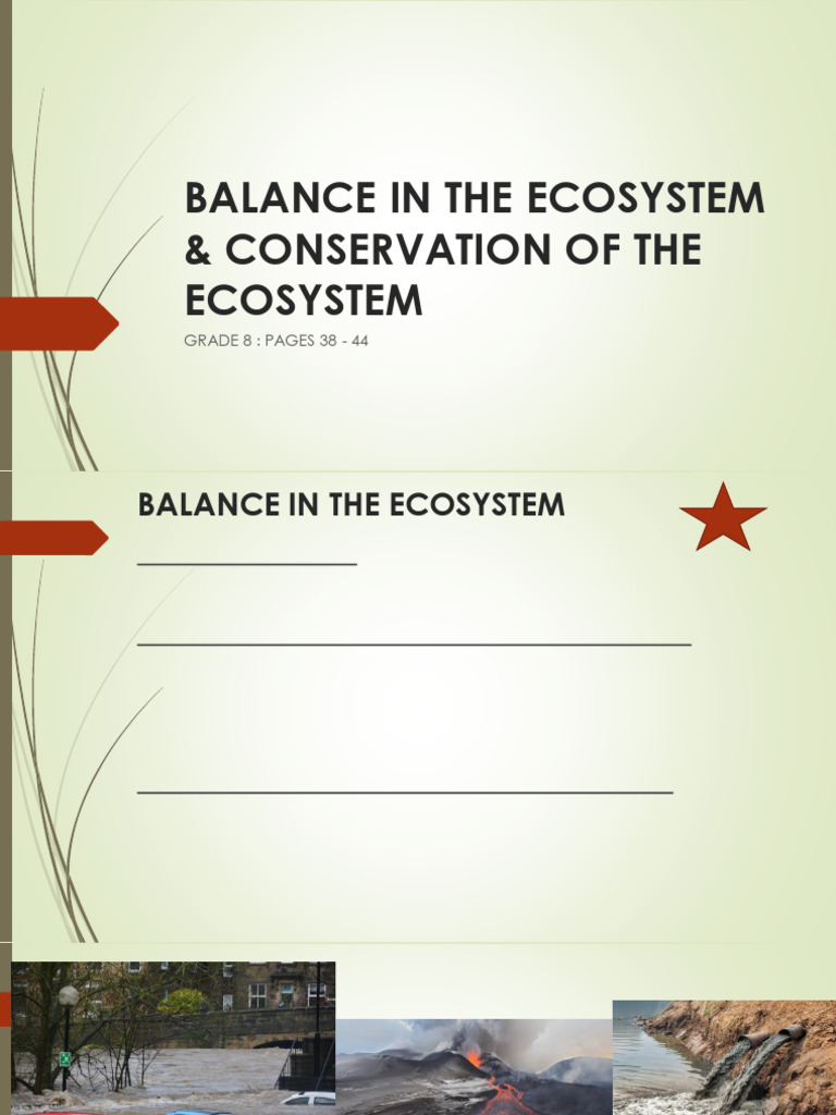 Balance & Conservation of the Ecosystem | PDF | Soil | Ecosystem