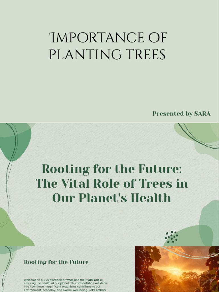 Importance of Planting Trees | PDF | Technology & Engineering