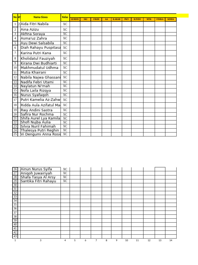 Raport Asts X C | PDF