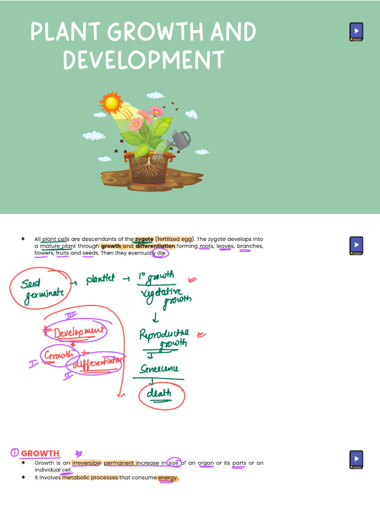 Plant Growth and Development | PDF | Plants | Botany