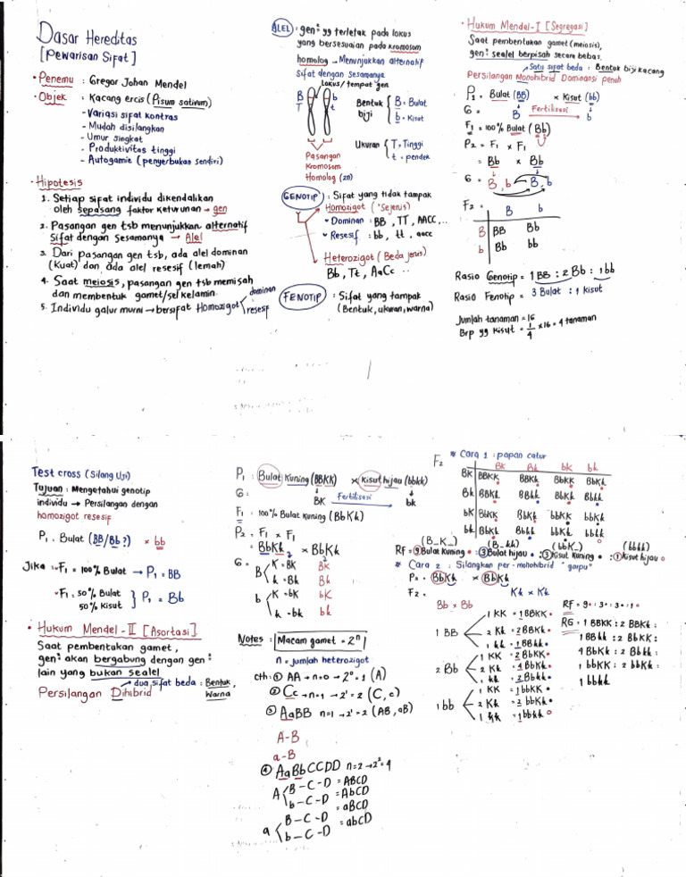 Tambahan Bio Danish 1 Okt 24 | PDF