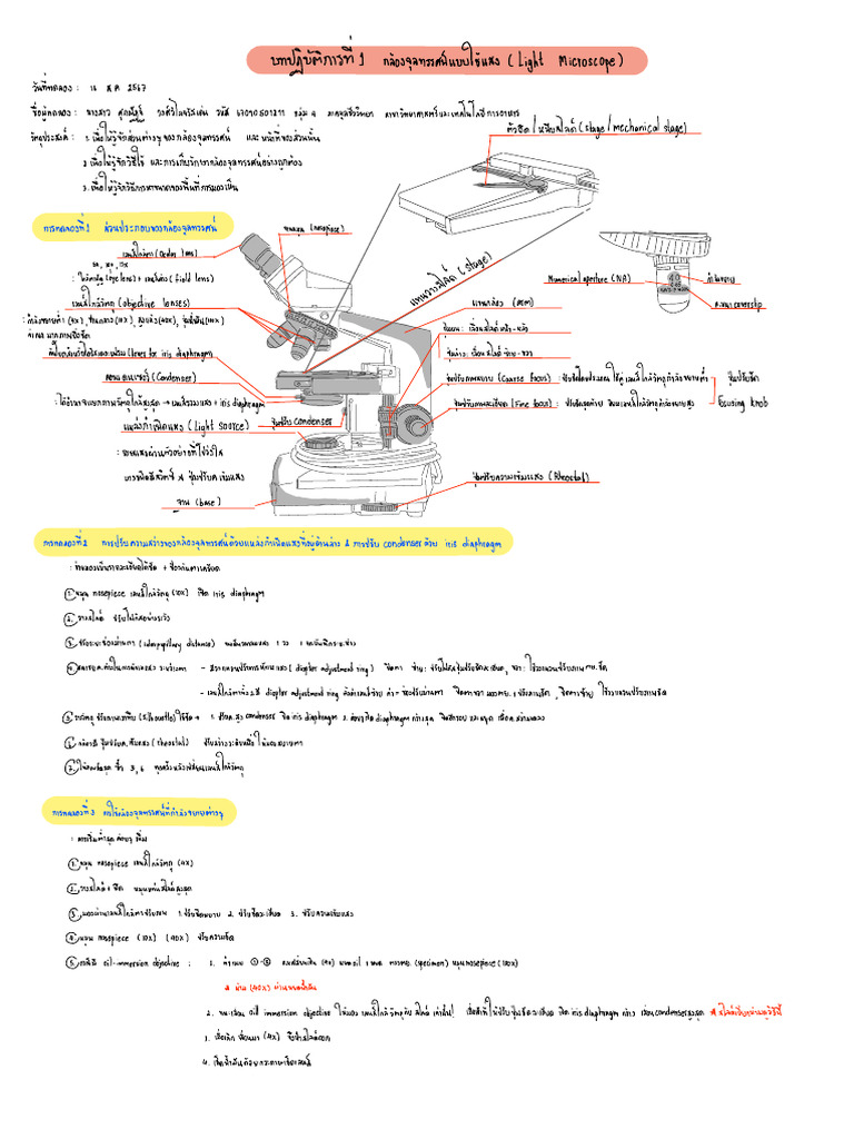 plan lab กล้องจุลทรรศน์ | PDF