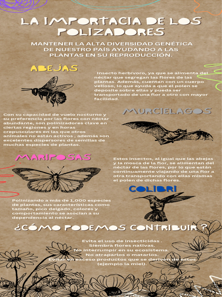 24370707_La Importancia de Los Polinizadores | PDF