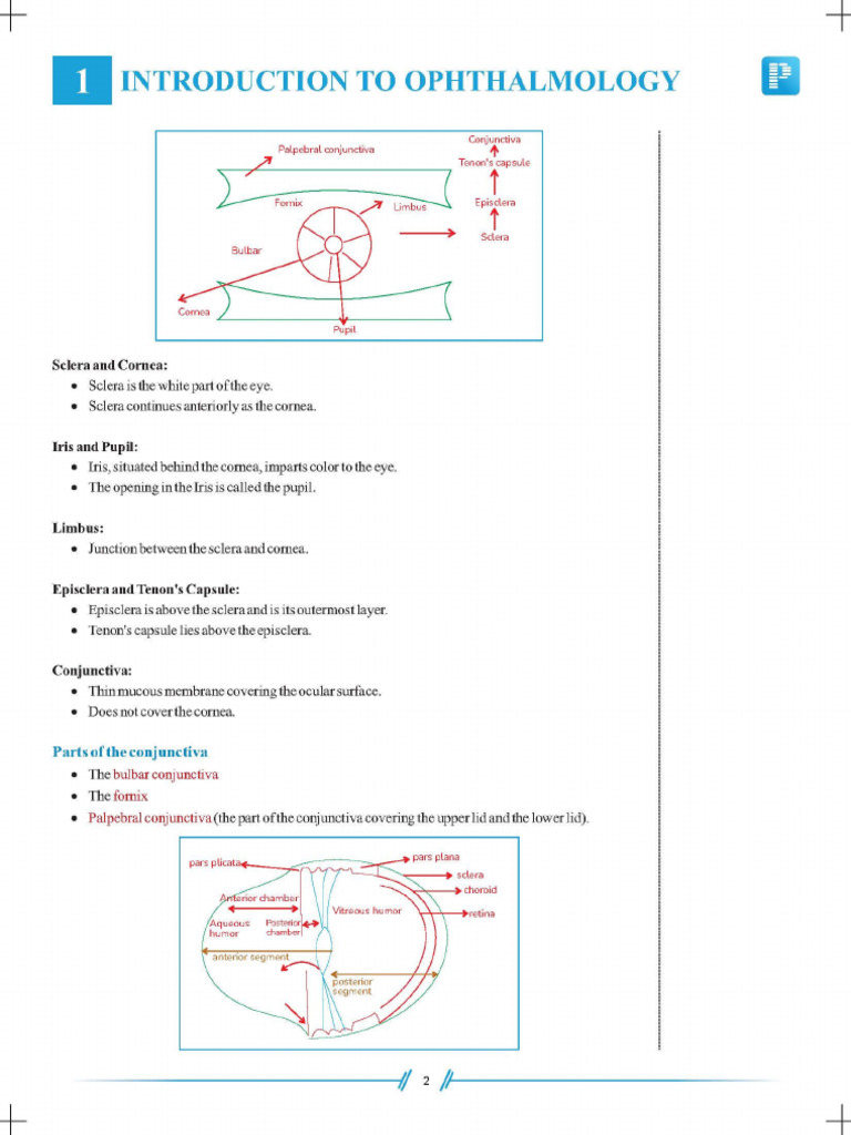 Optho 6.0 | PDF