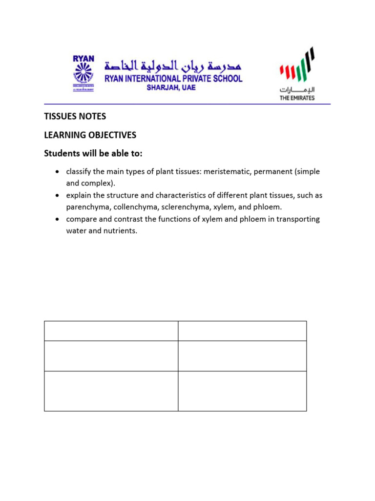 TISSUES NOTES new | PDF | Tissue (Biology) | Botany