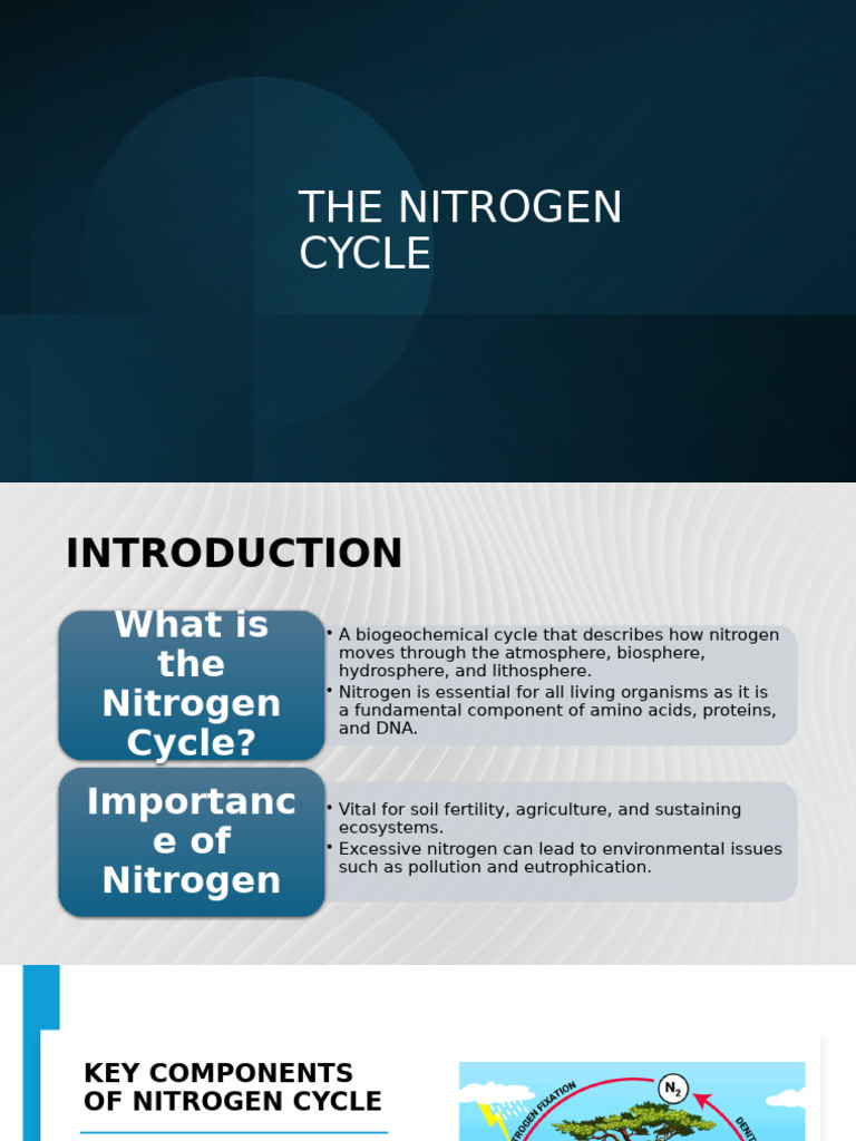 Understanding the Nitrogen Cycle | PDF | Earth Sciences | Nitrogen