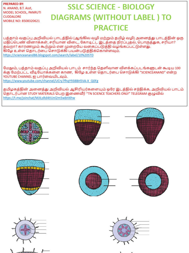 BIOLOGY DIAGRAM - WTHOUT LABELS | PDF