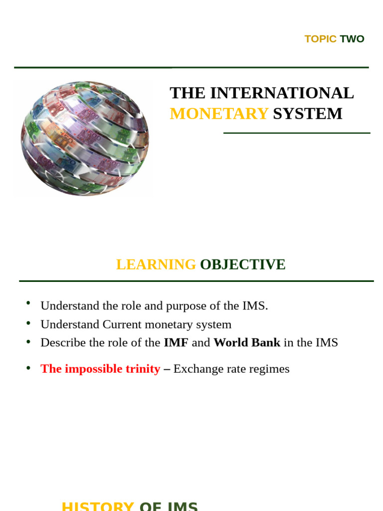 Overview of the International Monetary System | PDF | Special Drawing Rights | Exchange Rate