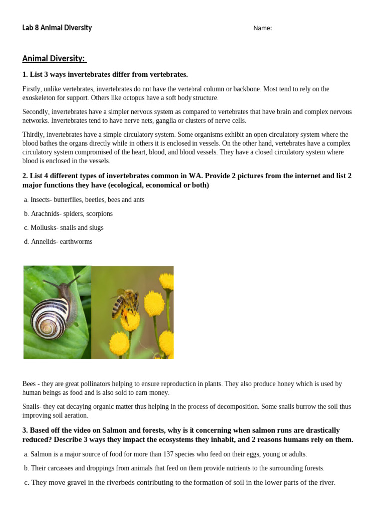 Animal Diversity | PDF | Invasive Species | Predation