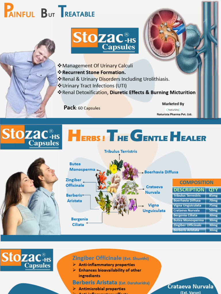 Stozac Final Brocher Aug - 241007 - 114032 | PDF | Urinary System ...