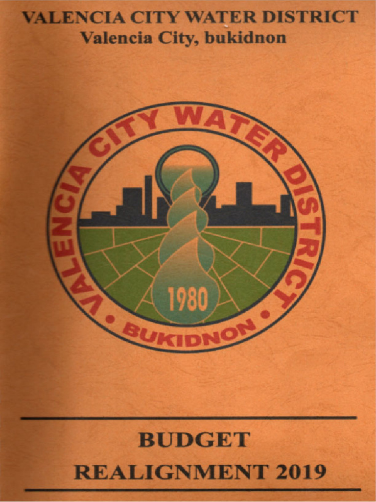 Budget Realignment 2019 | PDF