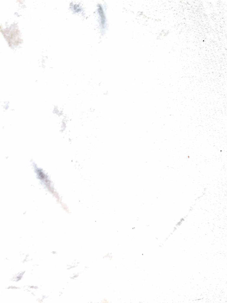 ZiB Zib in Dicubsanakkazochdneksu Bdsksu ...