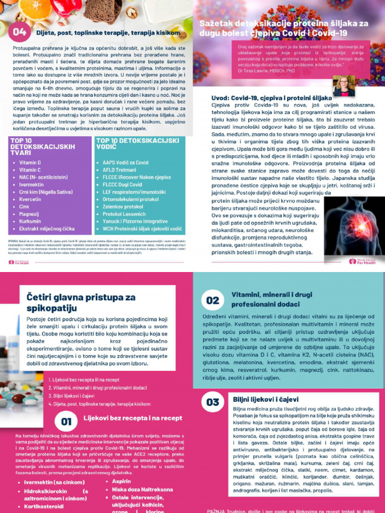 SpikeDetoxSummary CROATIAN | PDF