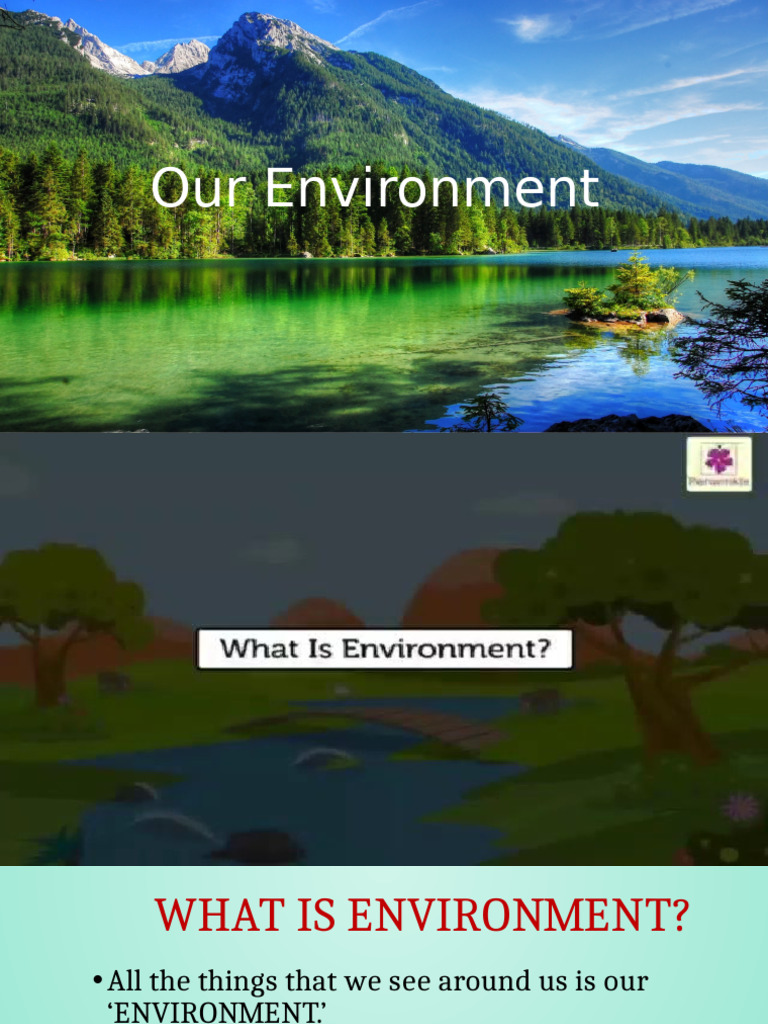 Our Environment - ppt | PDF