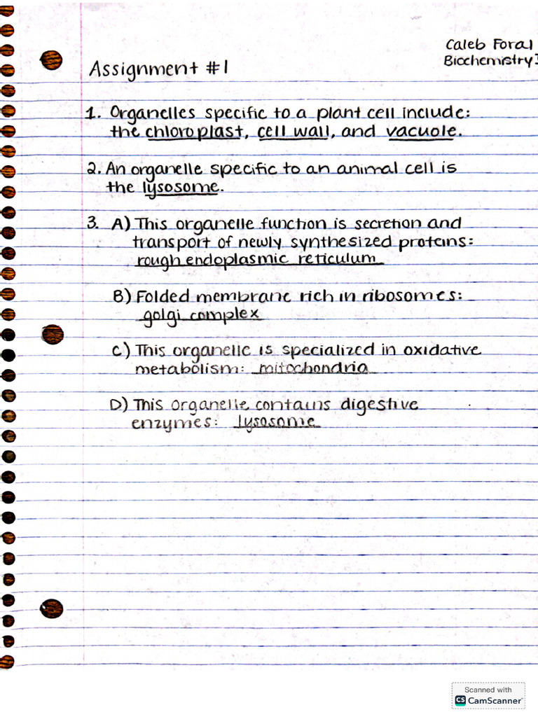 Biochem Ch.1 Notes | PDF