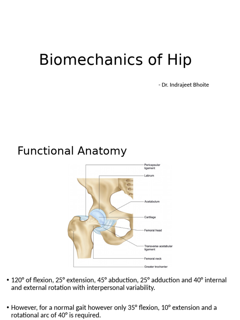 Biomechanics of Hip by Indrajeet Sir | PDF | Hip | Anatomical Terms Of ...