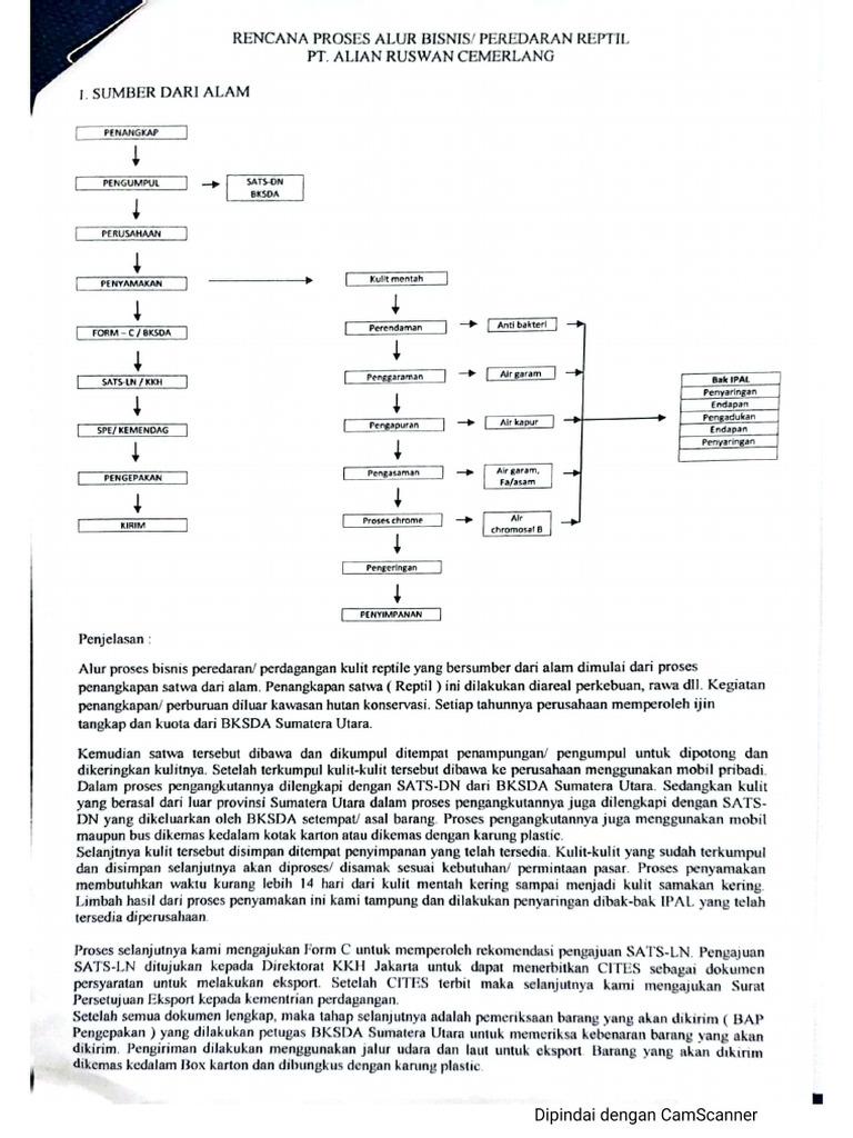 Alur Bisnis Pdf