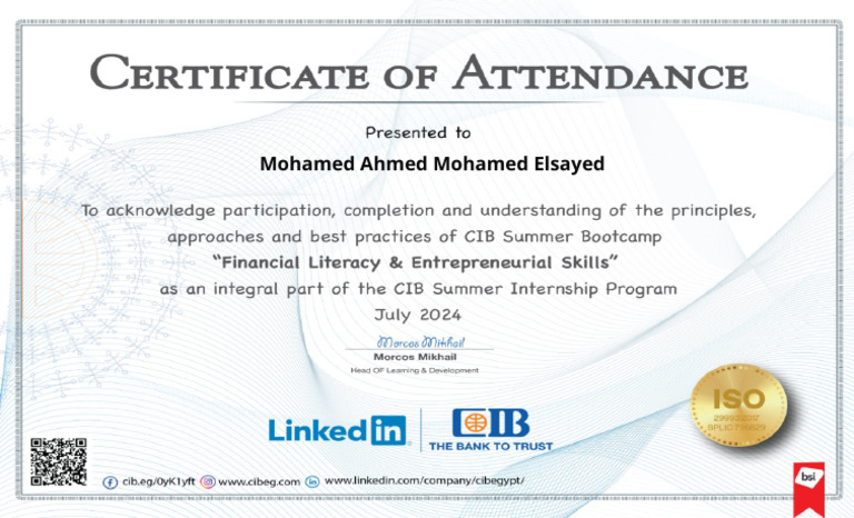 Linkedin CIB | PDF