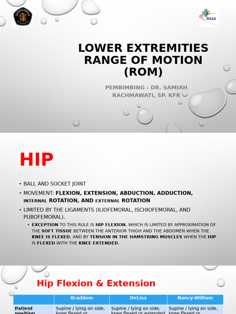Lower Extremity ROM Guide | PDF | Anatomical Terms Of Motion | Hip
