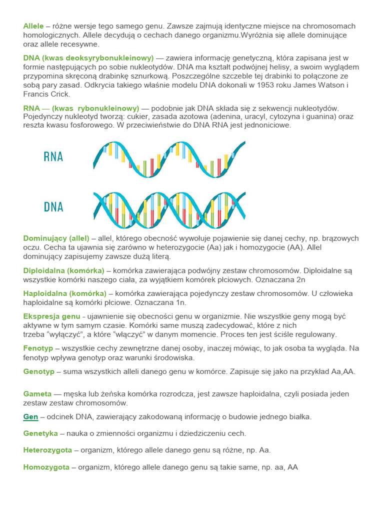 Słowniczek Pojęć Genetyka Klasa 8 | PDF