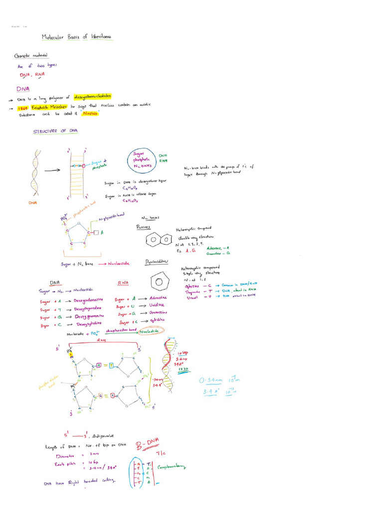 Mobio1 240603 185852 | PDF
