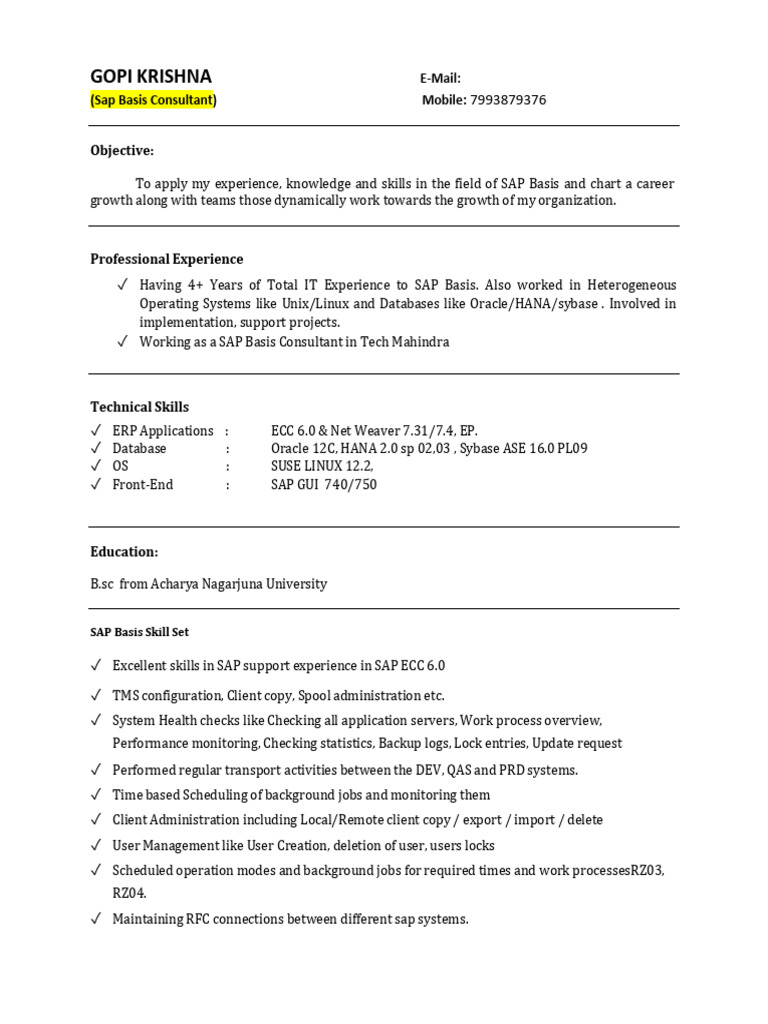 KRISHNA SAP | PDF | Databases | Computing