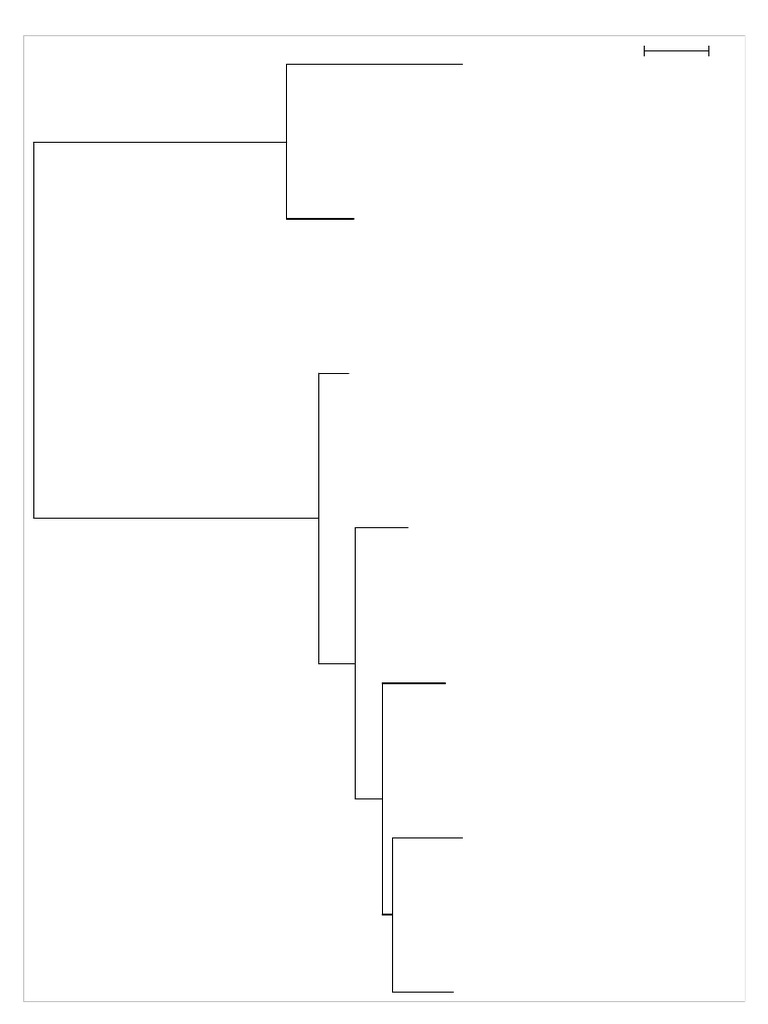Arbolillo BioNJ Tree | PDF