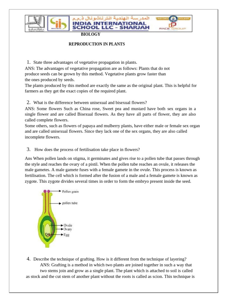Sexual Reproduction in Flowering Plants | PDF | Flowers | Sex
