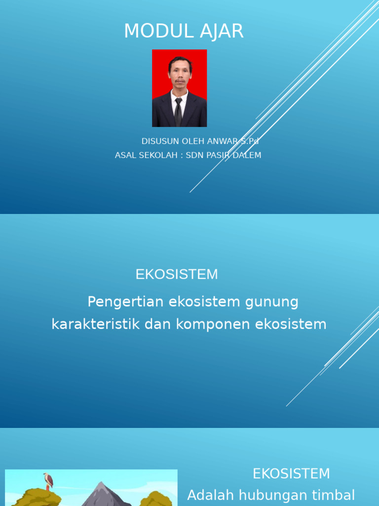 Modul Ajar Pak Anwar | PDF | Sains & Matematika | Teknologi & Rekayasa