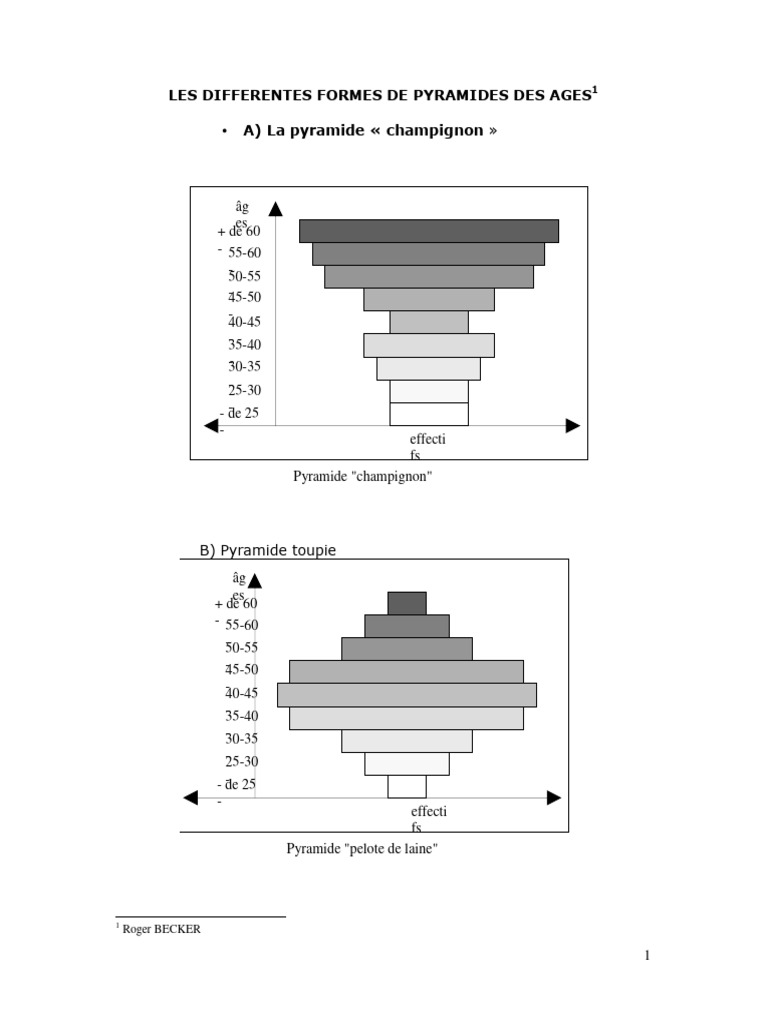 Formes de pyramides des âges | PDF