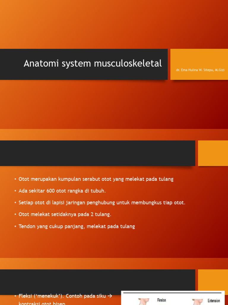 Anatomi Sistem Muskuloskeletal | PDF | Ilmu Sosial | Griya & Taman