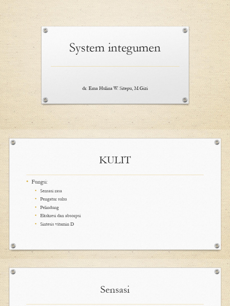 System Integumen | PDF