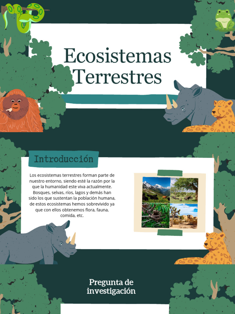 Ecosistemas Terrestres | PDF | Salud y bienestar | Ciencia y matemáticas