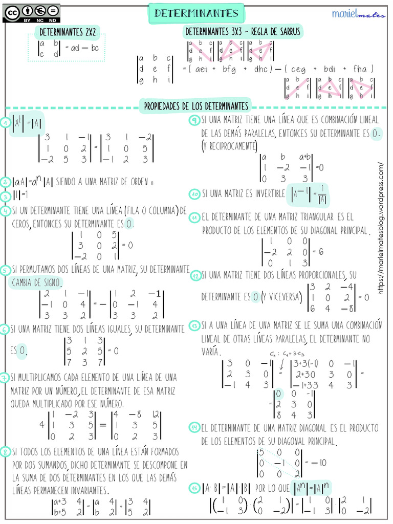 Resumen De Determinantes : Tipos de determinantes en gramática: una ...