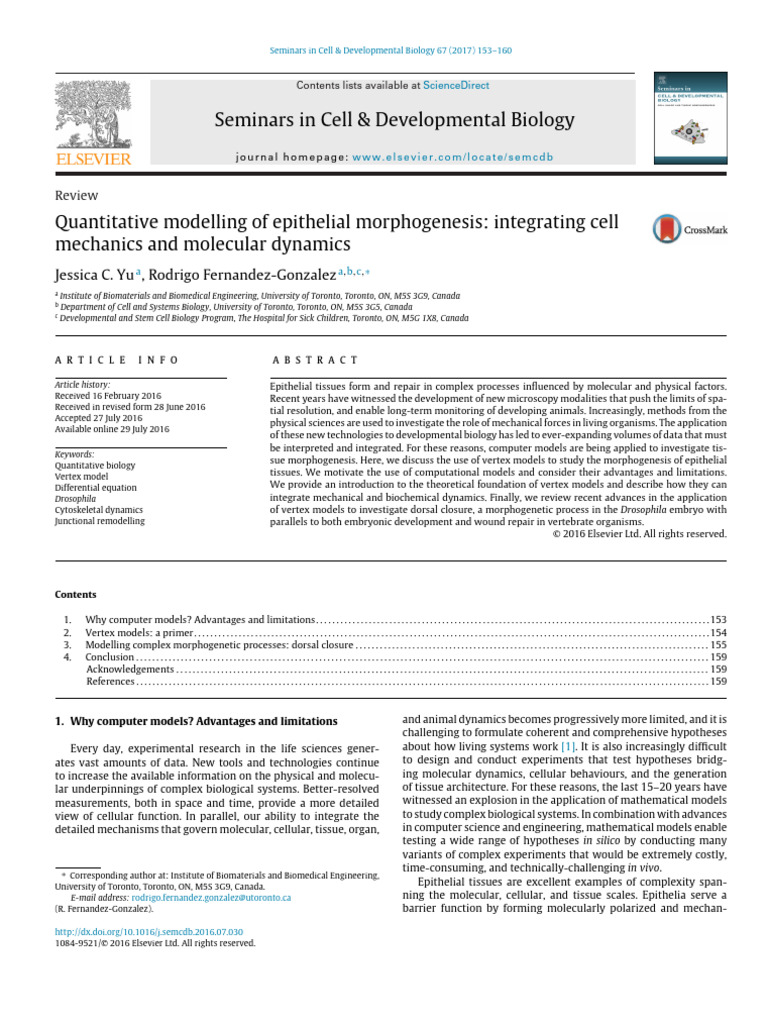 Quantitative Modelling of Epithelial Morphogenesis - 2017 - Seminars in Cell | PDF ...