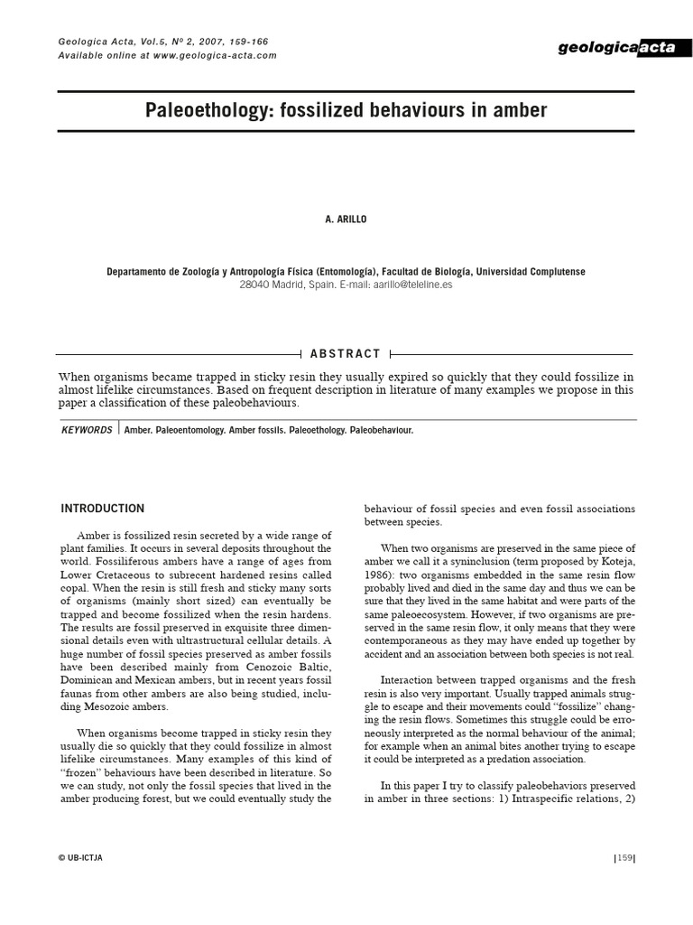 Geoact A2007v5n2p159 | PDF | Amber | Fly